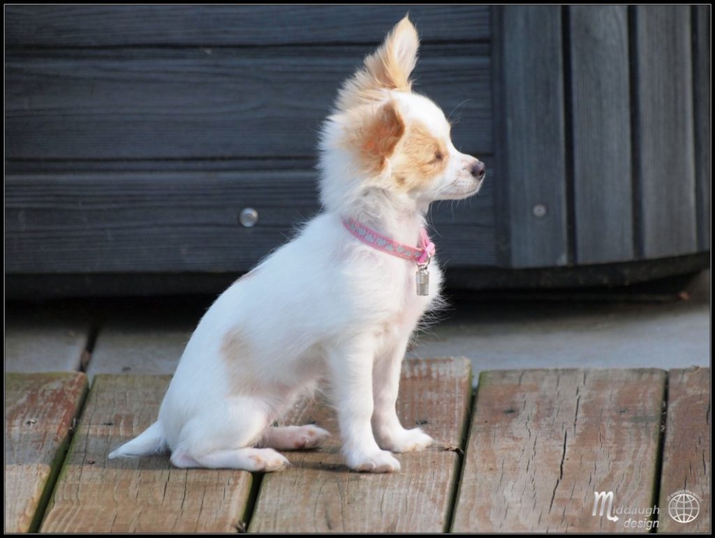 Lily and the Hot Tub – Middaugh.org aka brittyland